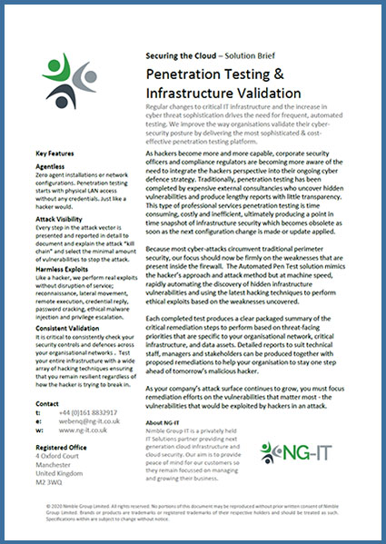 Pen Test & Infrastructure Validation - NG IT Cybersecurity Hub
